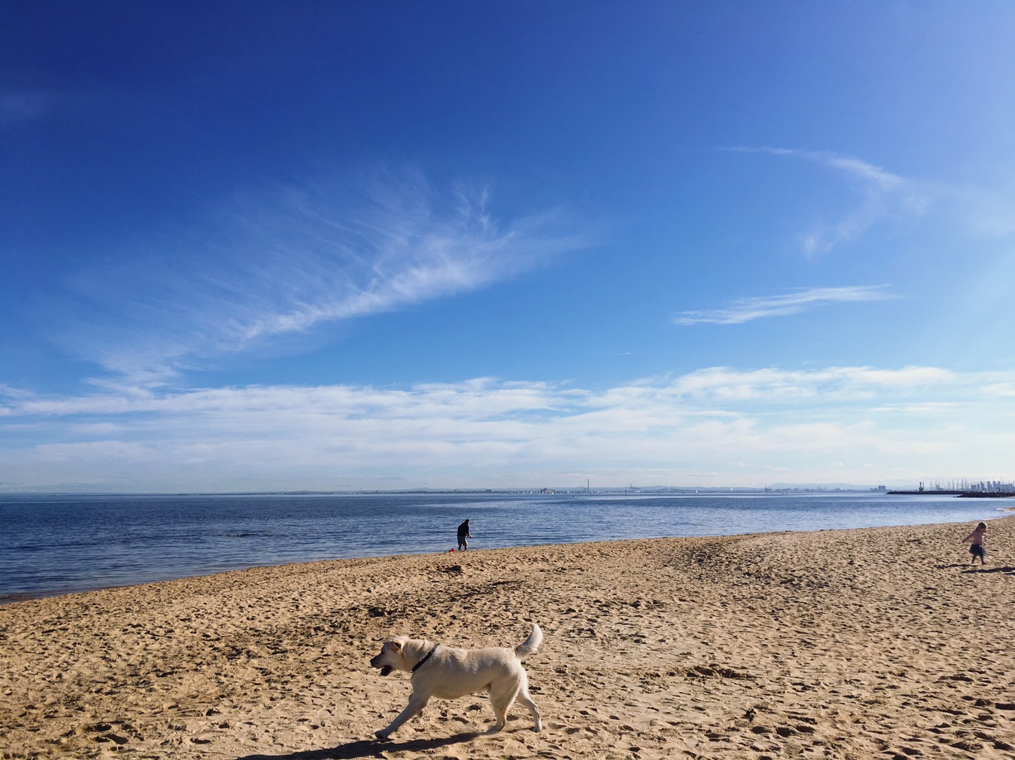 【インスタ映え間違いなし！】ブライトンビーチ♪ - megmoblog