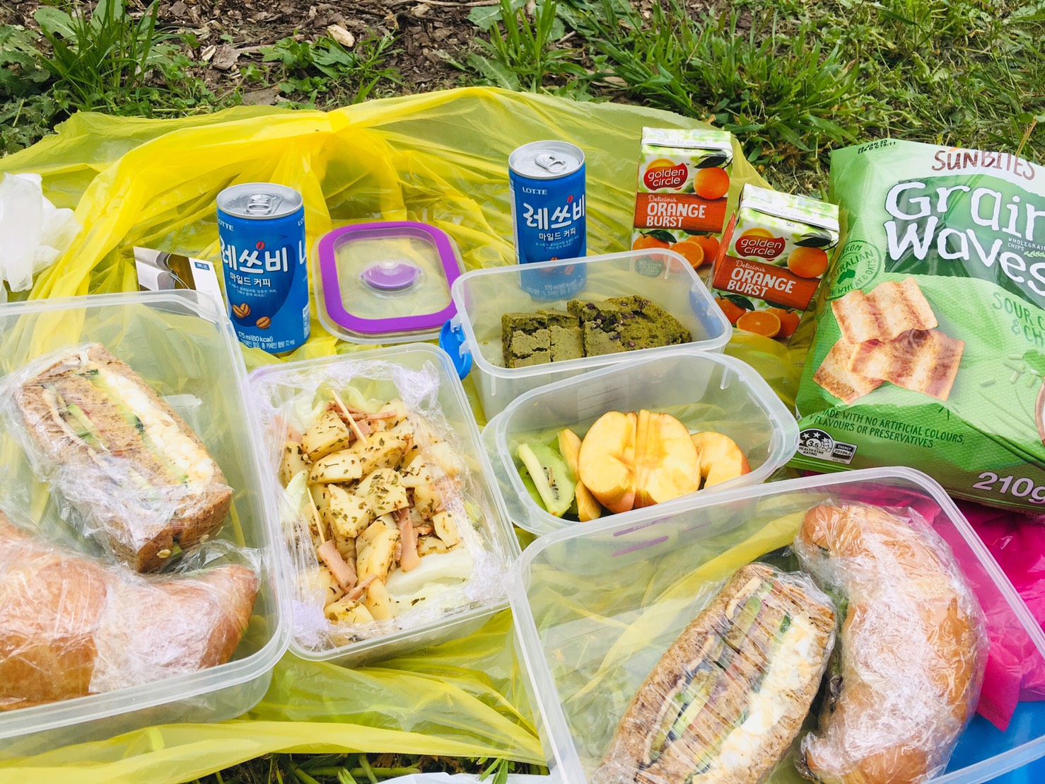 【オーストラリアで桜を楽しむ】Hanami Festival♡ - megmoblog