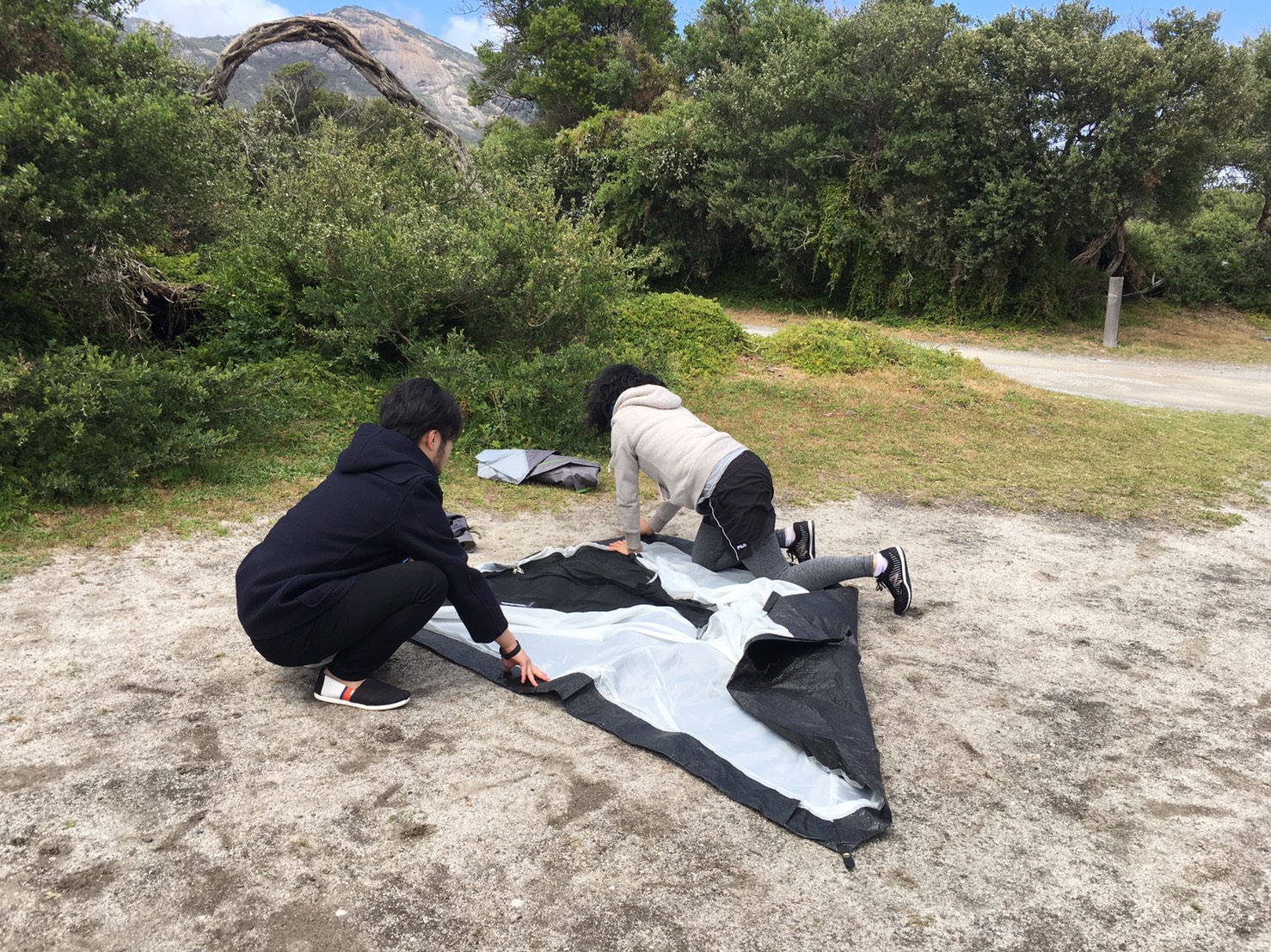 【野生動物たちに会える！】ウィルソンズパークでキャンプ - megmoblog