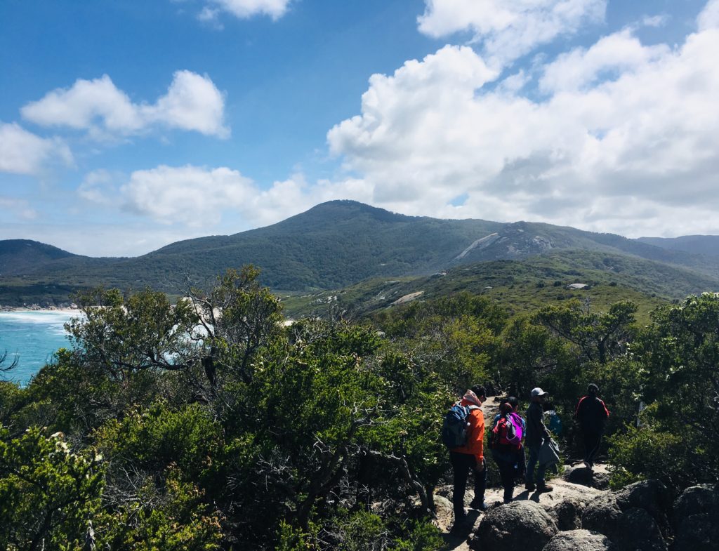 【野生動物たちに会える！】ウィルソンズパークでキャンプ - megmoblog